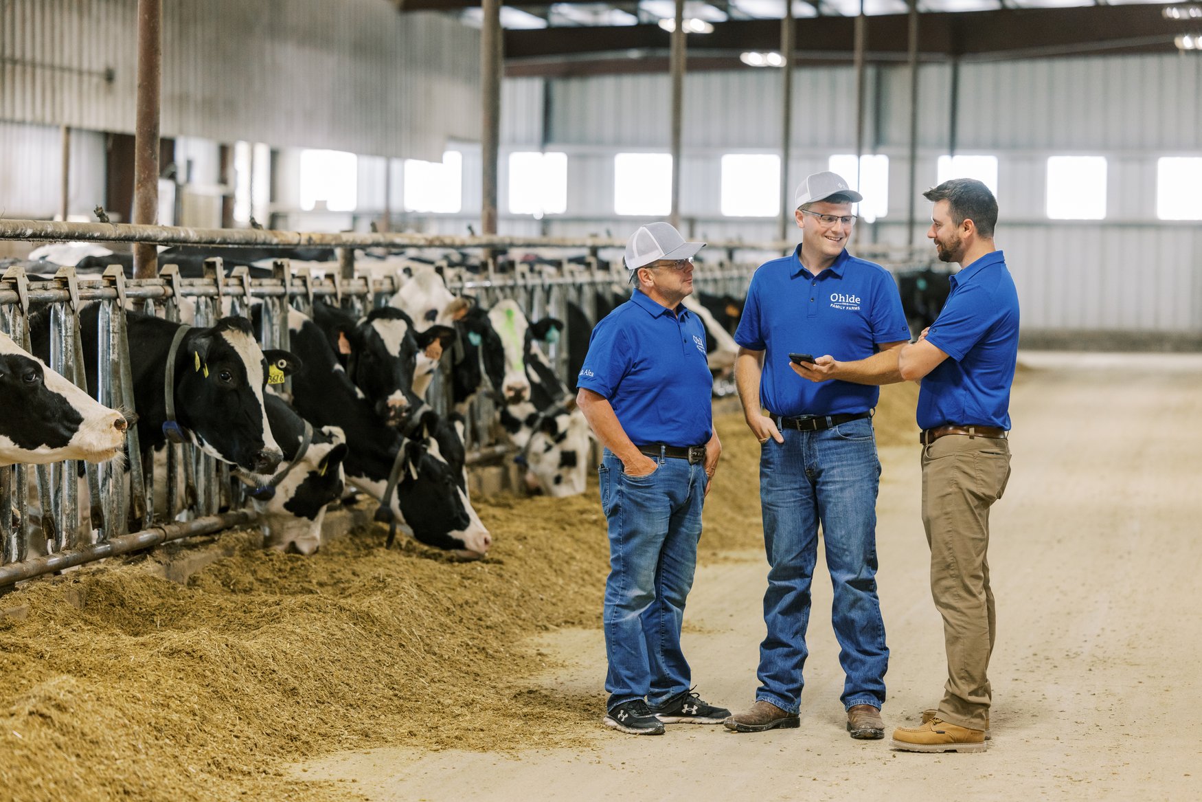 Alta EDGE Sires: Elite Genetic Access | Alta Genetics