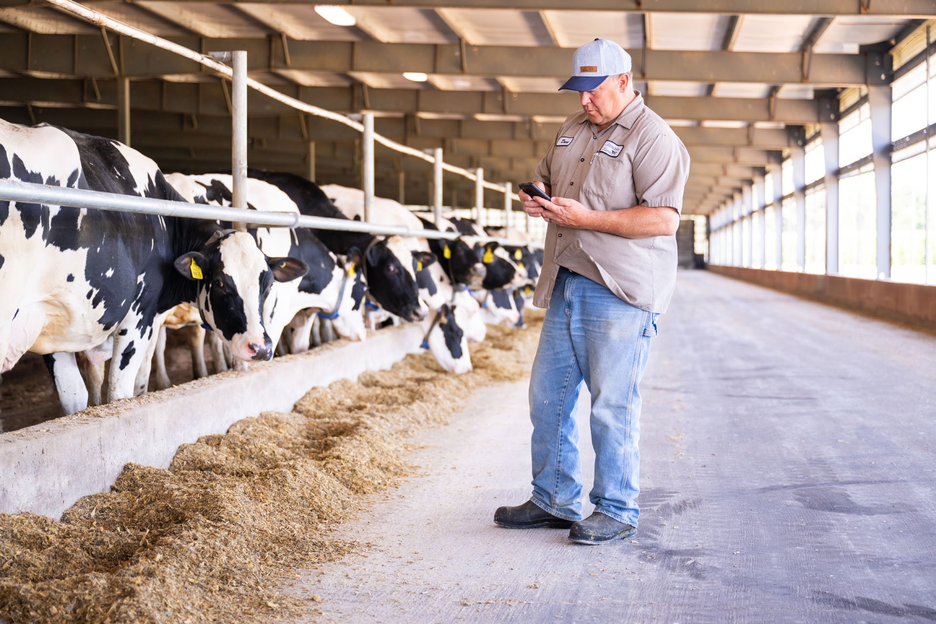Alta COW WATCH | Activity Monitoring for Dairy Herds