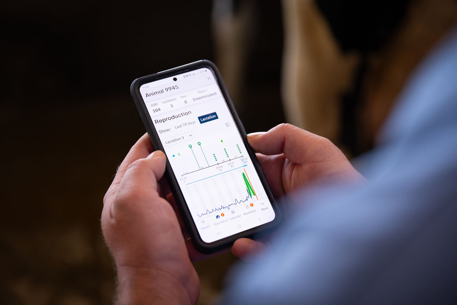 Alta COW WATCH | Activity Monitoring for Dairy Herds