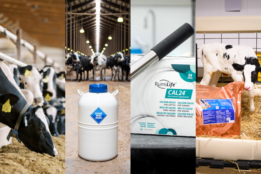 Alta COW WATCH Options | Flexible Plans for Every Dairy