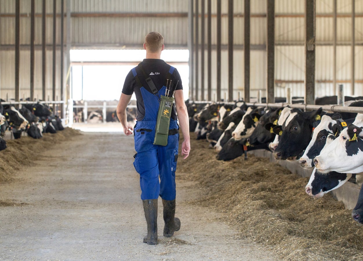 Trusted Dairy & Beef Genetics | Alta Genetics USA